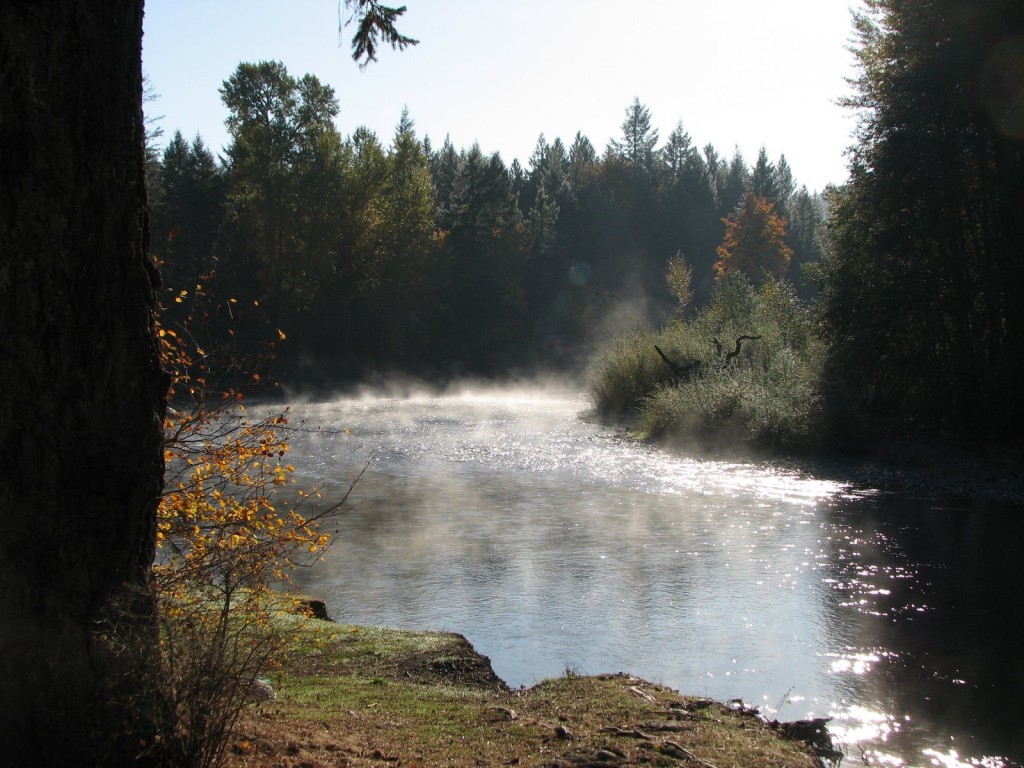 Cowichan River – Nature Cowichan
